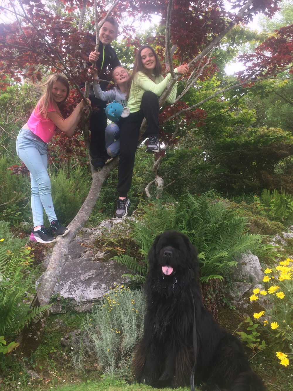 Our Story - Barrow Lodge Kerry